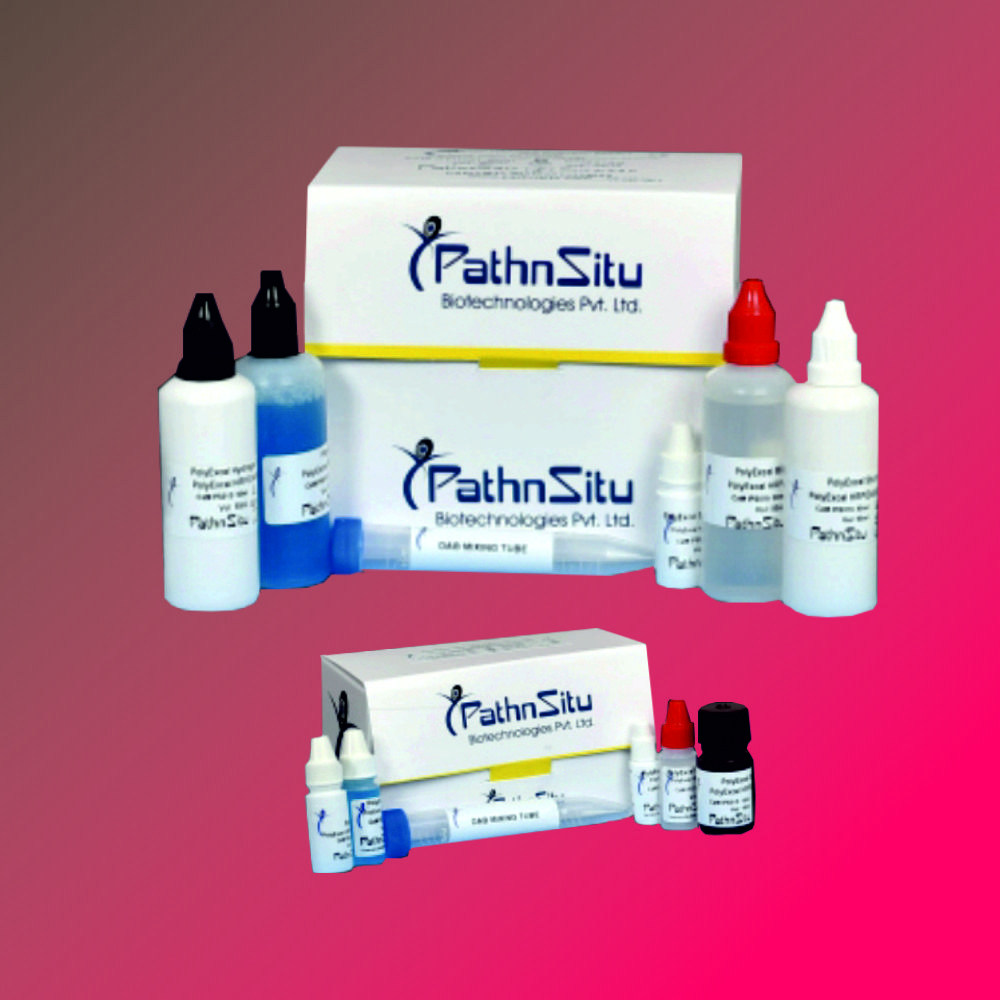 PolyExcel HRP/DAB Detection System-One Step