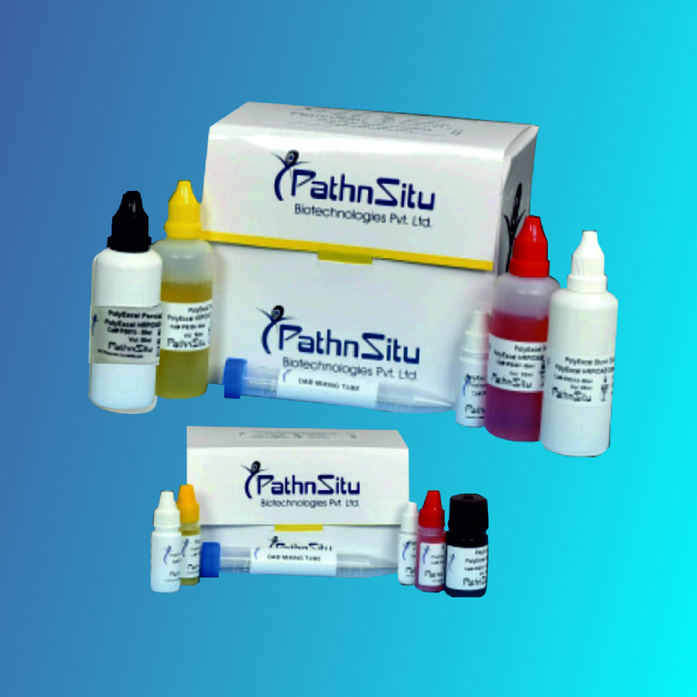 Polymer, Chromogen, micro polymer, PolyExcel HRP/DAB Detection System ...